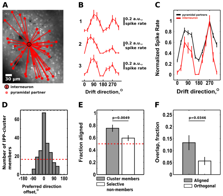 Principles of neural coding – Smirnakis Laboratory